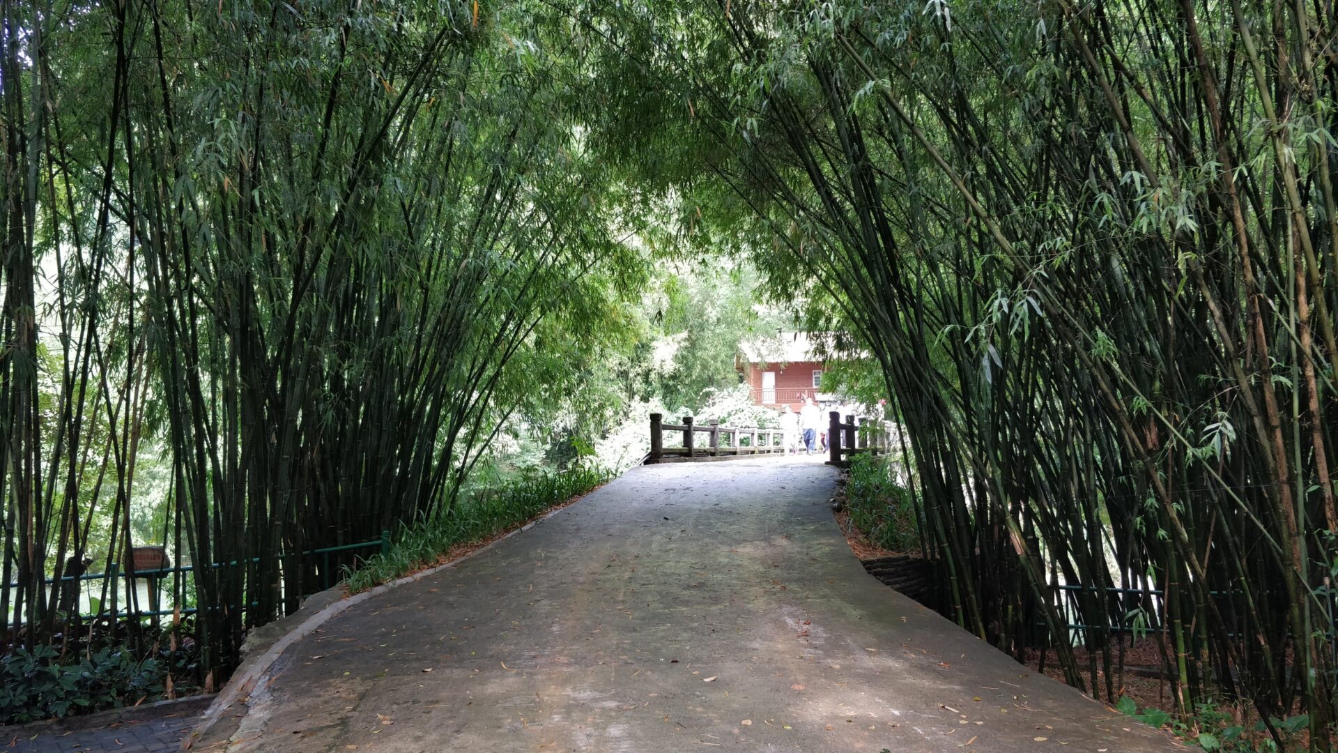 Yingxi Fenglin Corridor Scenic Area : Guangdong | Visions of Travel