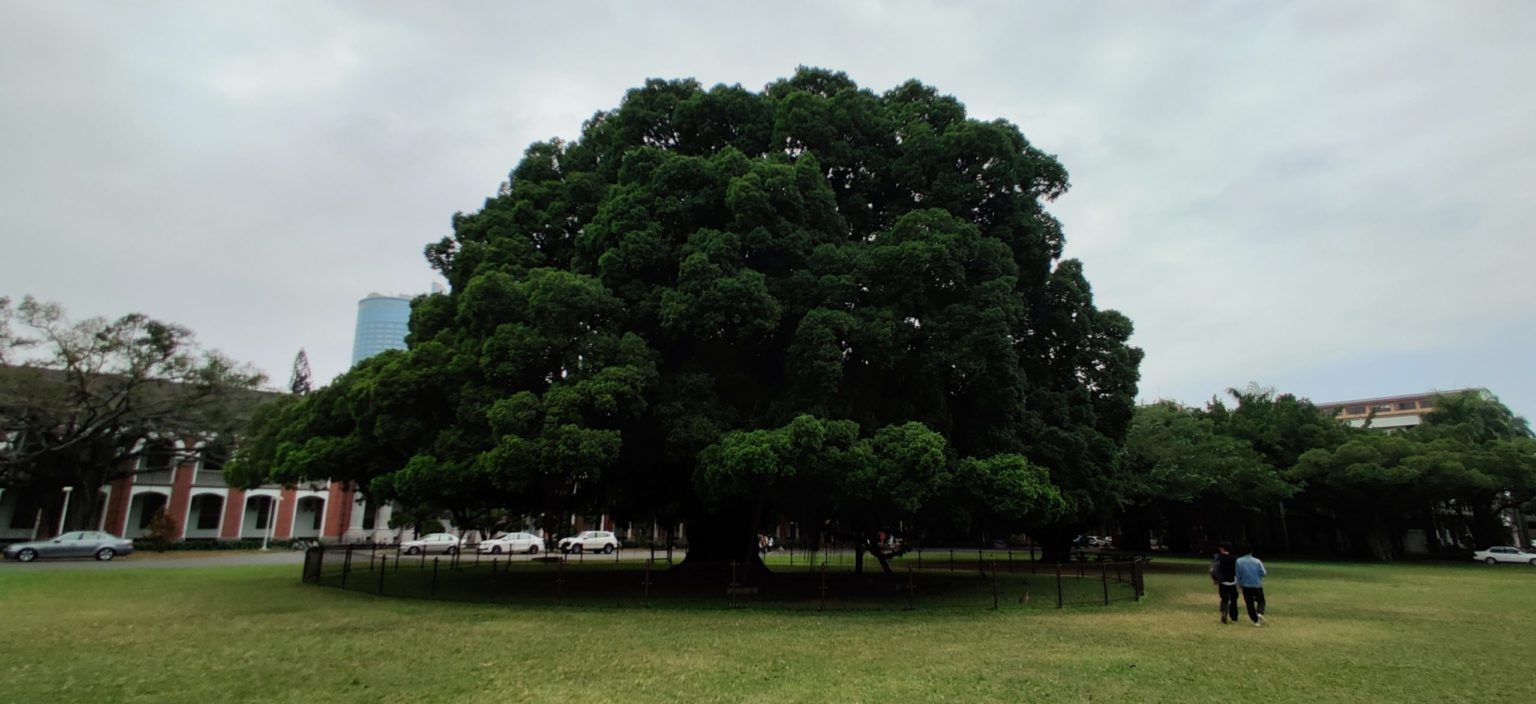 National Cheng Kung University campus : Tainan | Visions of Travel
