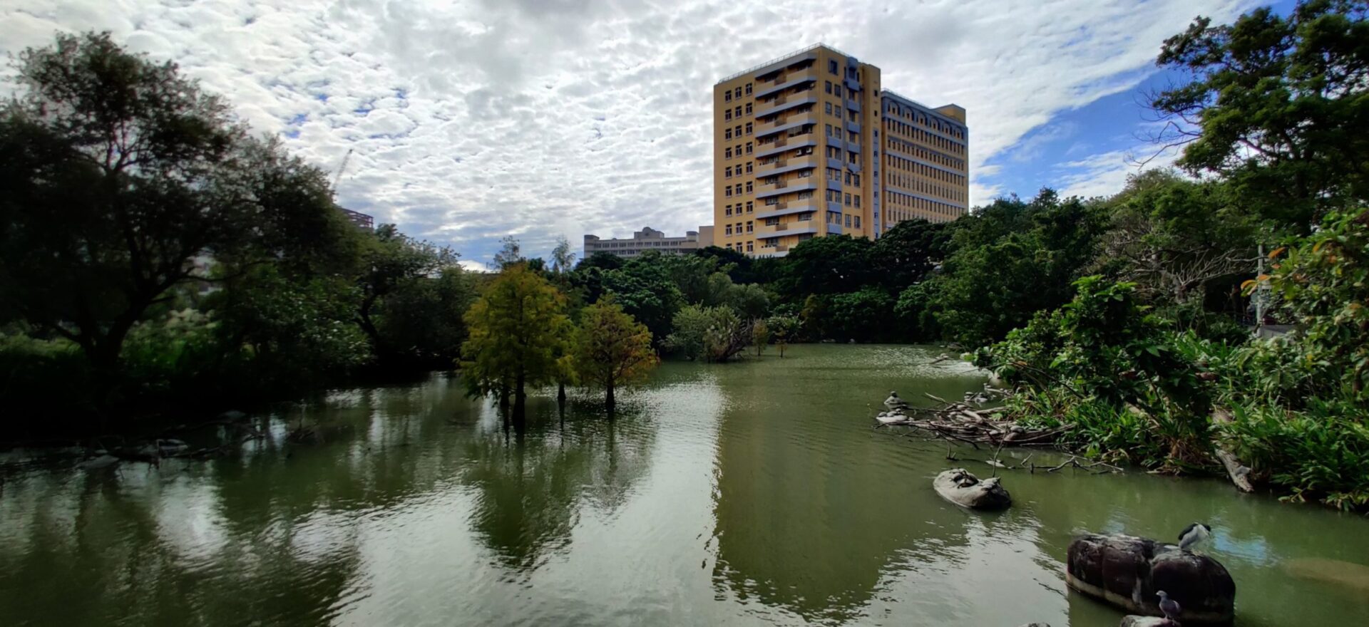 National Taiwan University campus : Taipei | Visions of Travel