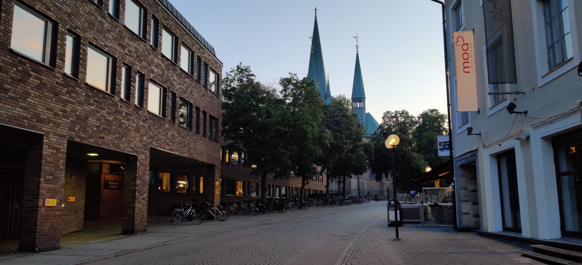 Walking tour of Linkoping : Sweden | Visions of Travel