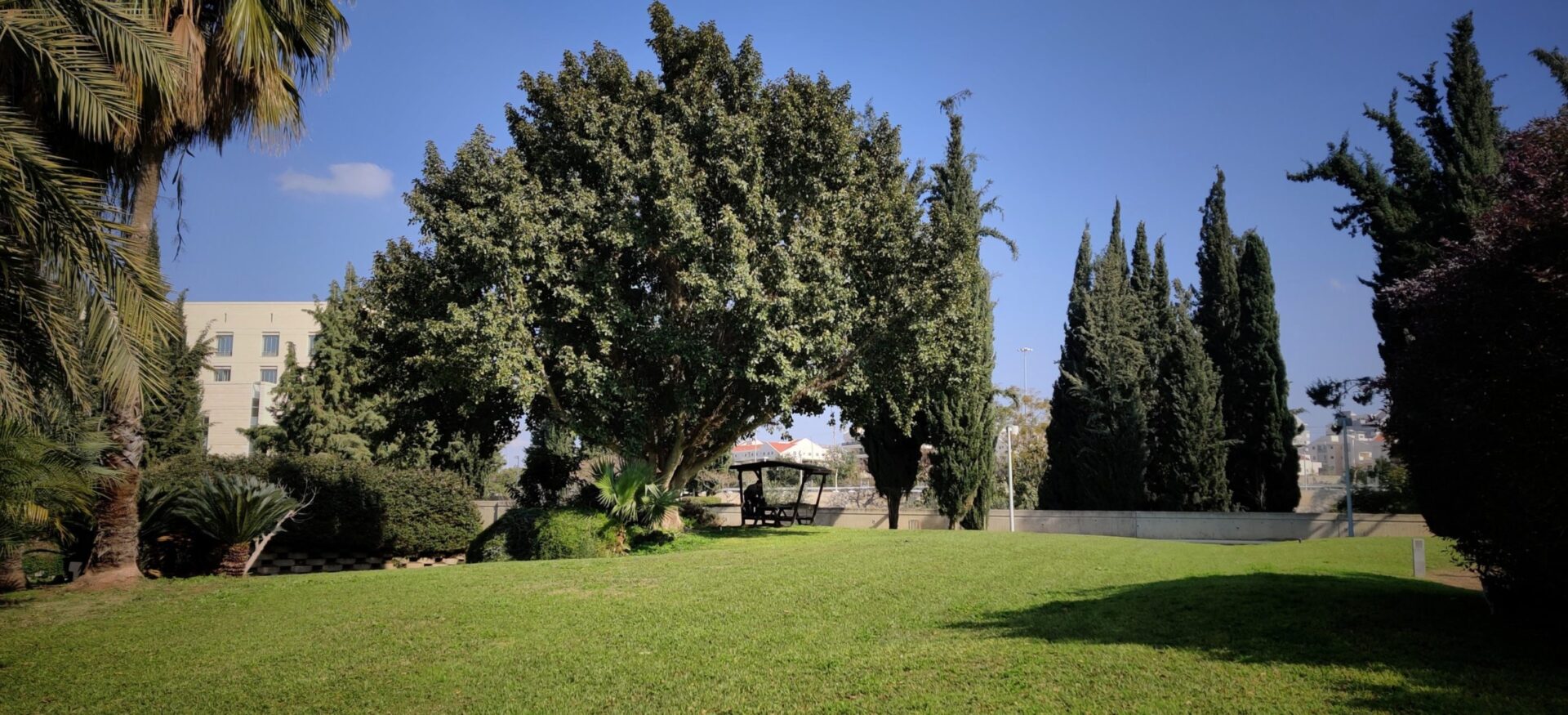 Open University Campus: Raanana Israel | Visions of Travel