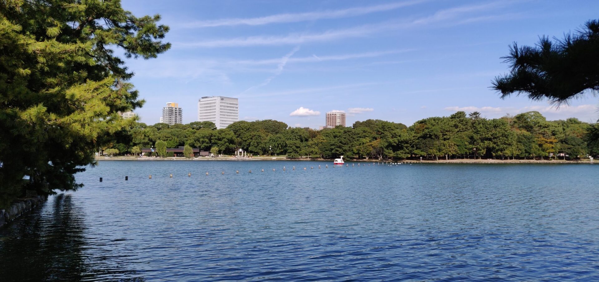 Maizuru and Ohori Parks : Fukuoka | Visions of Travel