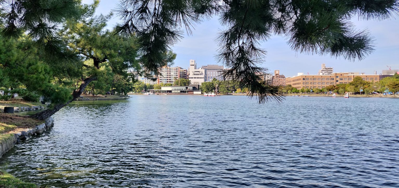 Maizuru and Ohori Parks : Fukuoka | Visions of Travel