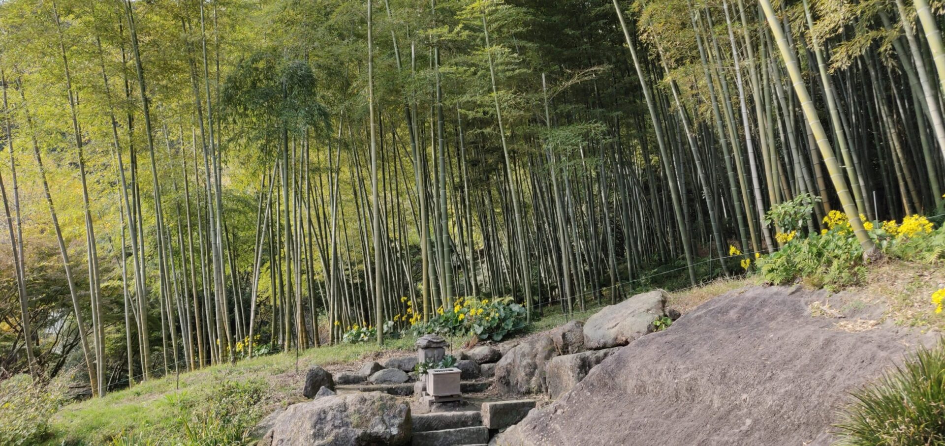 Sengan-en Gardens : Kagoshima | Visions of Travel