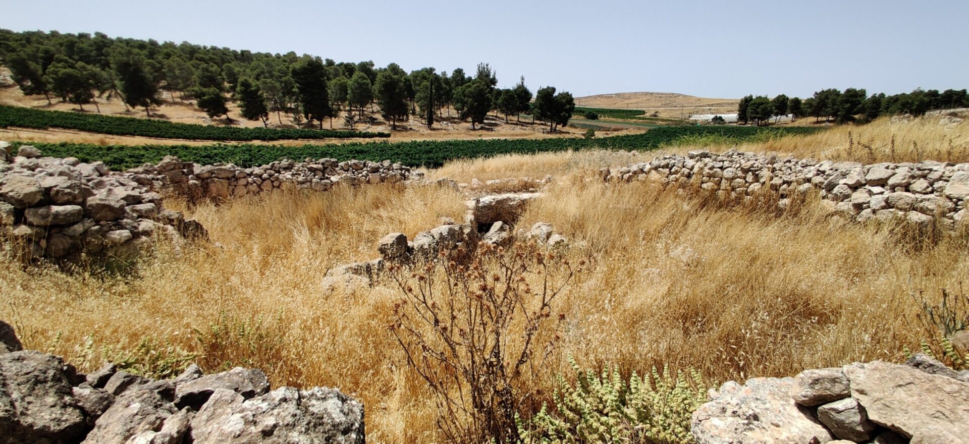 Ancient Susya National Park & Anim Synagogue | Visions of Travel