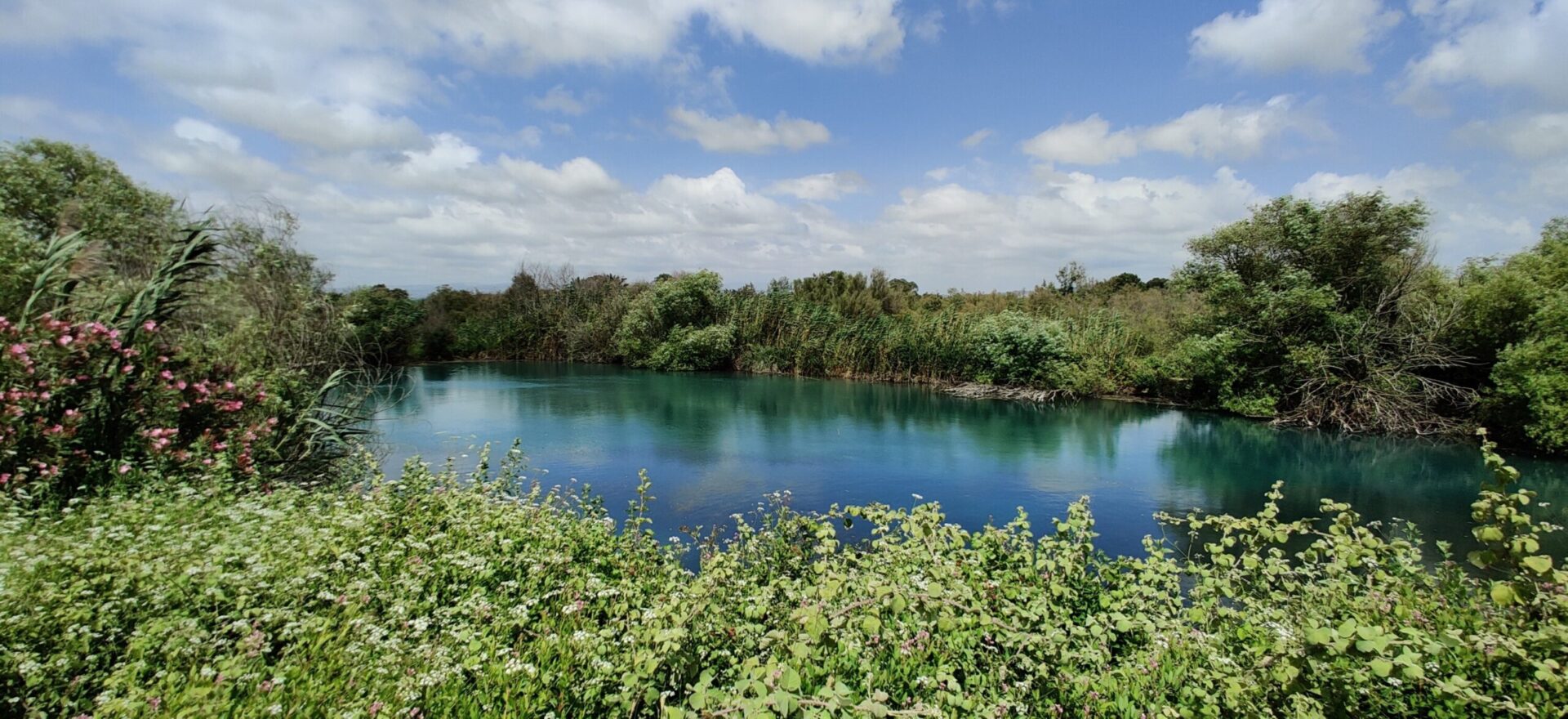 En Afek Nature Reserve : Northern Israel | Visions of Travel