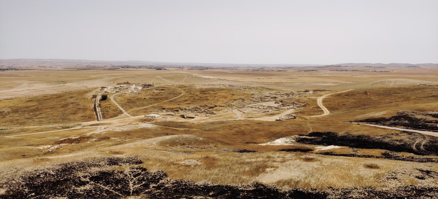 From ancient Tel Arad to the Dead Sea : Southern Israel | Visions of Travel