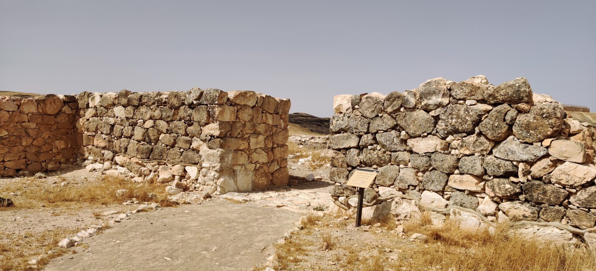 From ancient Tel Arad to the Dead Sea : Southern Israel | Visions of Travel