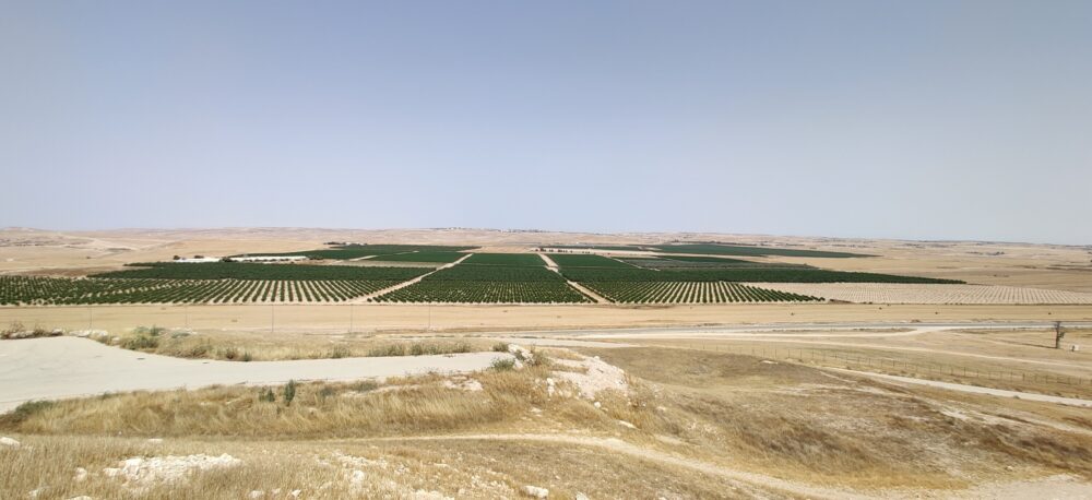 From ancient Tel Arad to the Dead Sea : Southern Israel | Visions of Travel