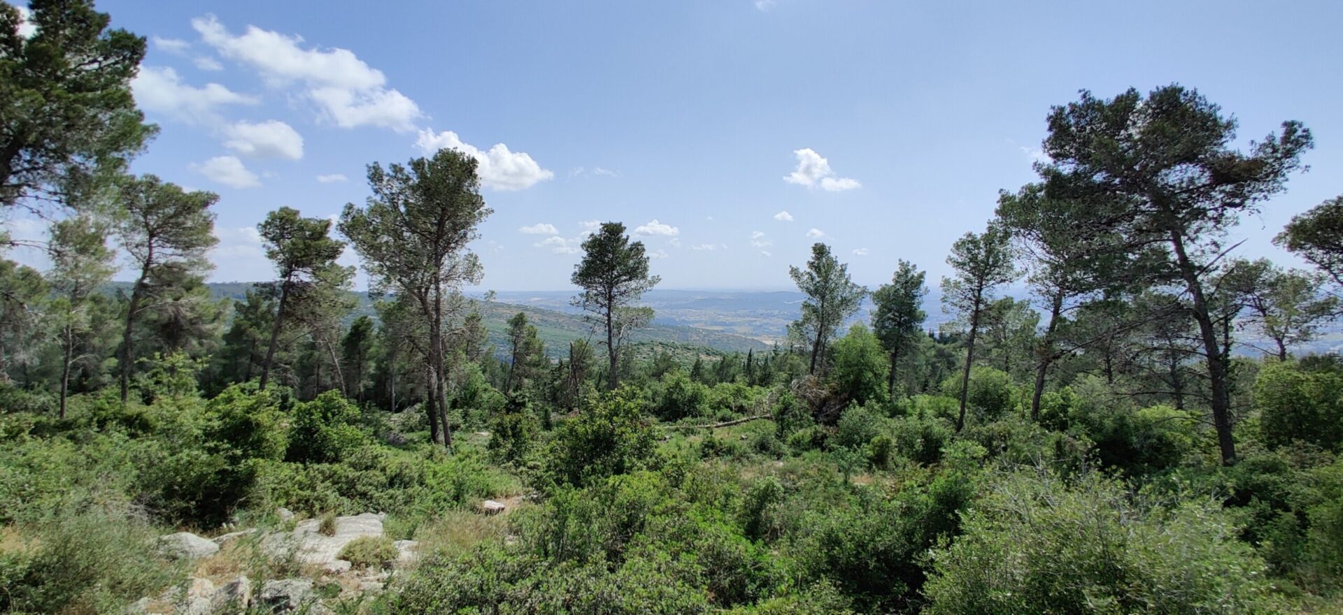 Forest of the Martyrs : Israel | Visions of Travel