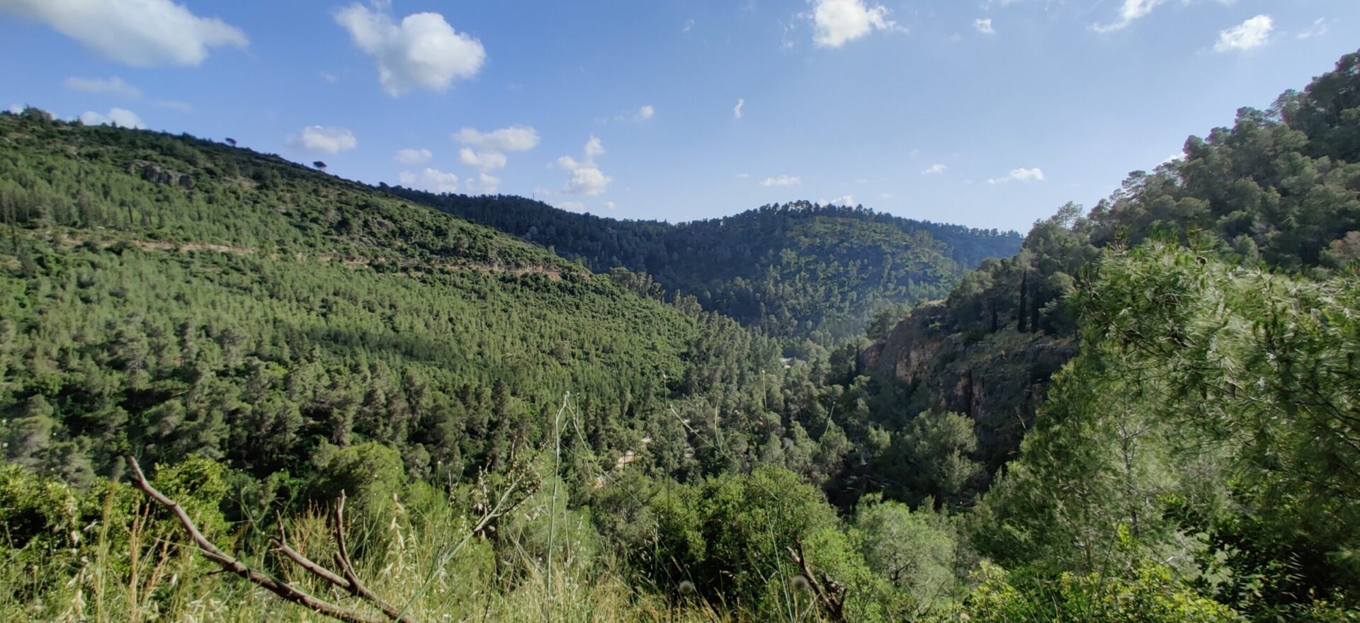 Forest of the Martyrs : Israel | Visions of Travel