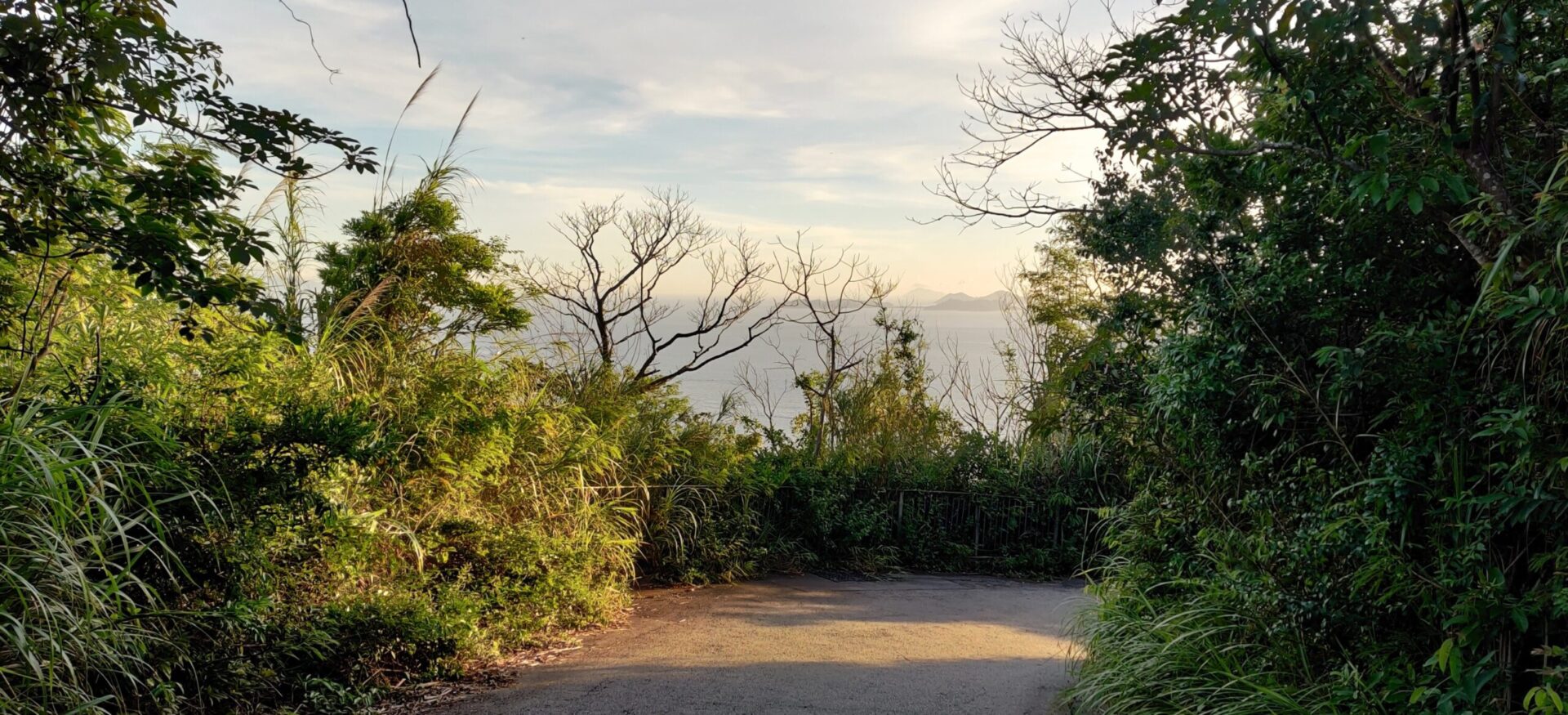 Mount Davis historical hike : Western Hong Kong Island | Visions of Travel