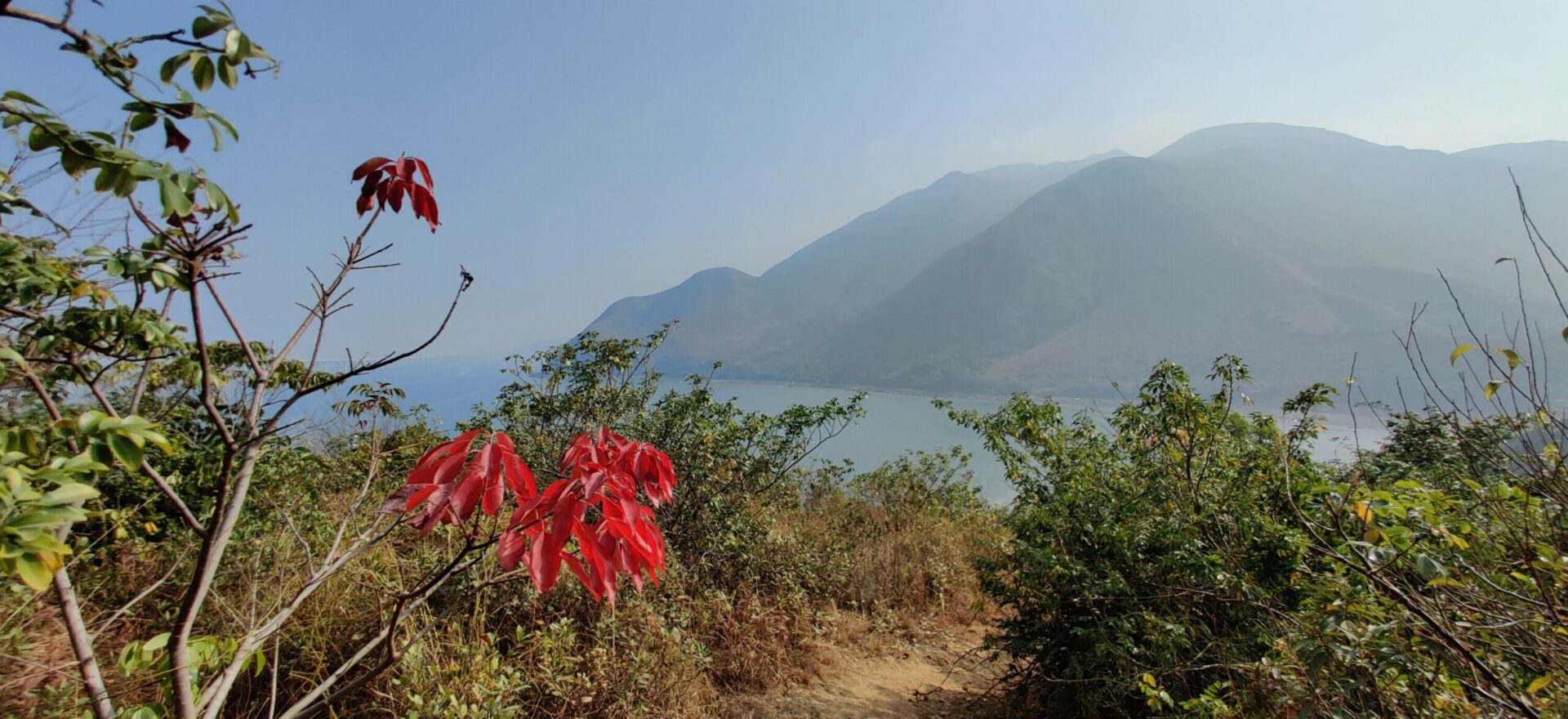 Tai O village Fu Shan hike : Hong Kong | Visions of Travel