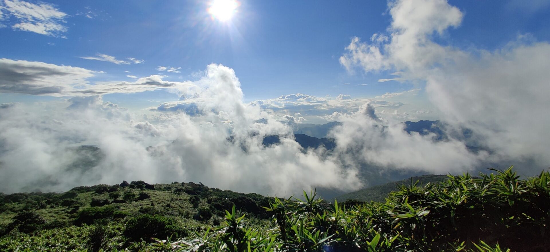 Tai Mo Shan Country Park hike : Hong Kong | Visions of Travel