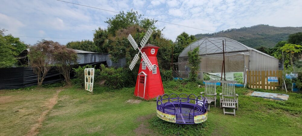 GoGreen Pineapple and Alpaca farm : Northern Hong Kong | Visions of Travel