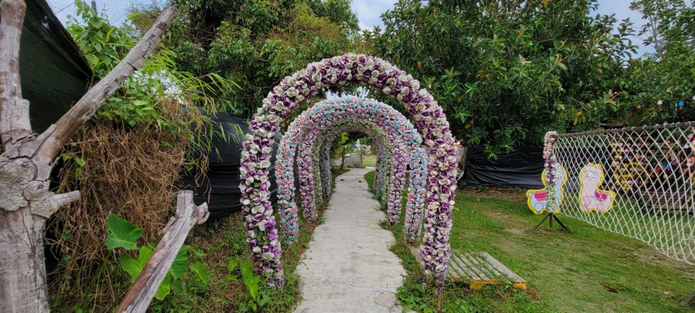 GoGreen Pineapple and Alpaca farm : Northern Hong Kong | Visions of Travel