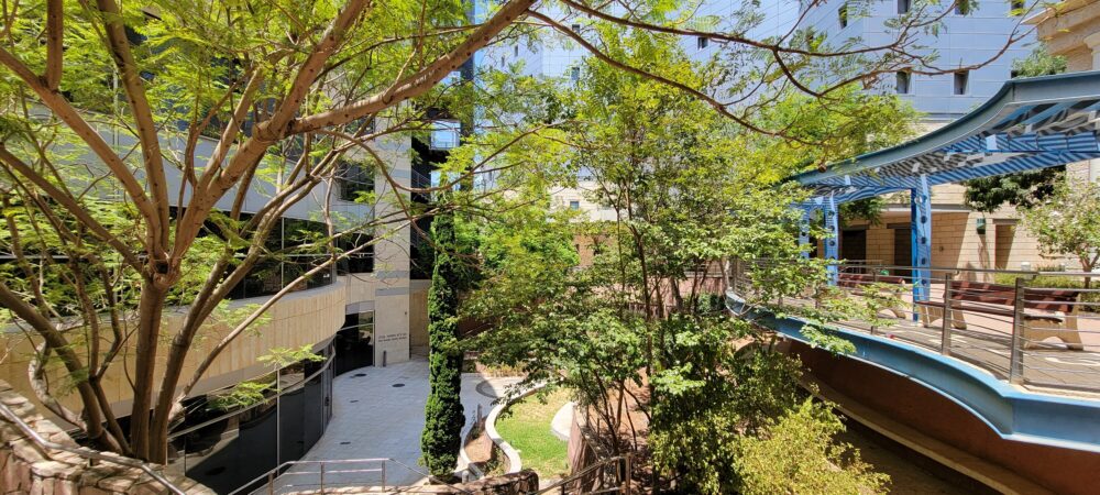 Bar Ilan University campus walk : Israel | Visions of Travel