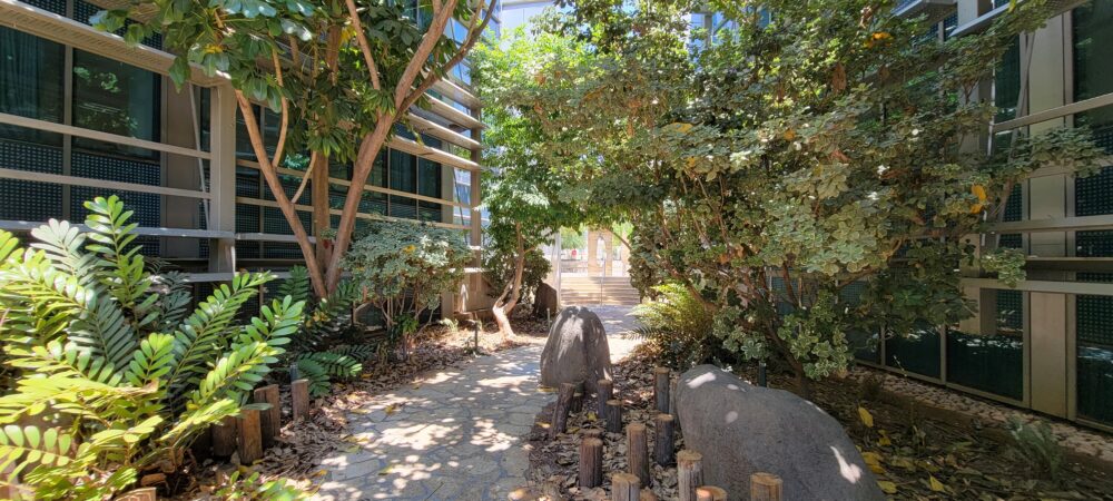 Bar Ilan University campus walk : Israel | Visions of Travel