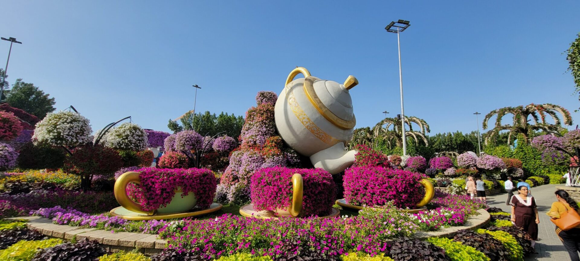 Dubai Miracle Garden : Emirates | Visions of Travel