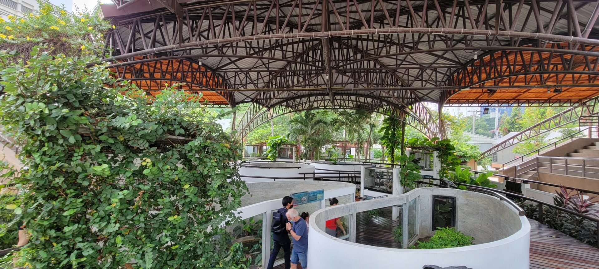 Snake Farm (Queen Saovabha Memorial Institute) : Bangkok Thailand ...