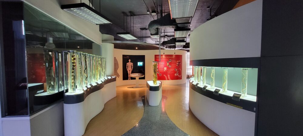 Snake Farm (Queen Saovabha Memorial Institute) : Bangkok Thailand ...