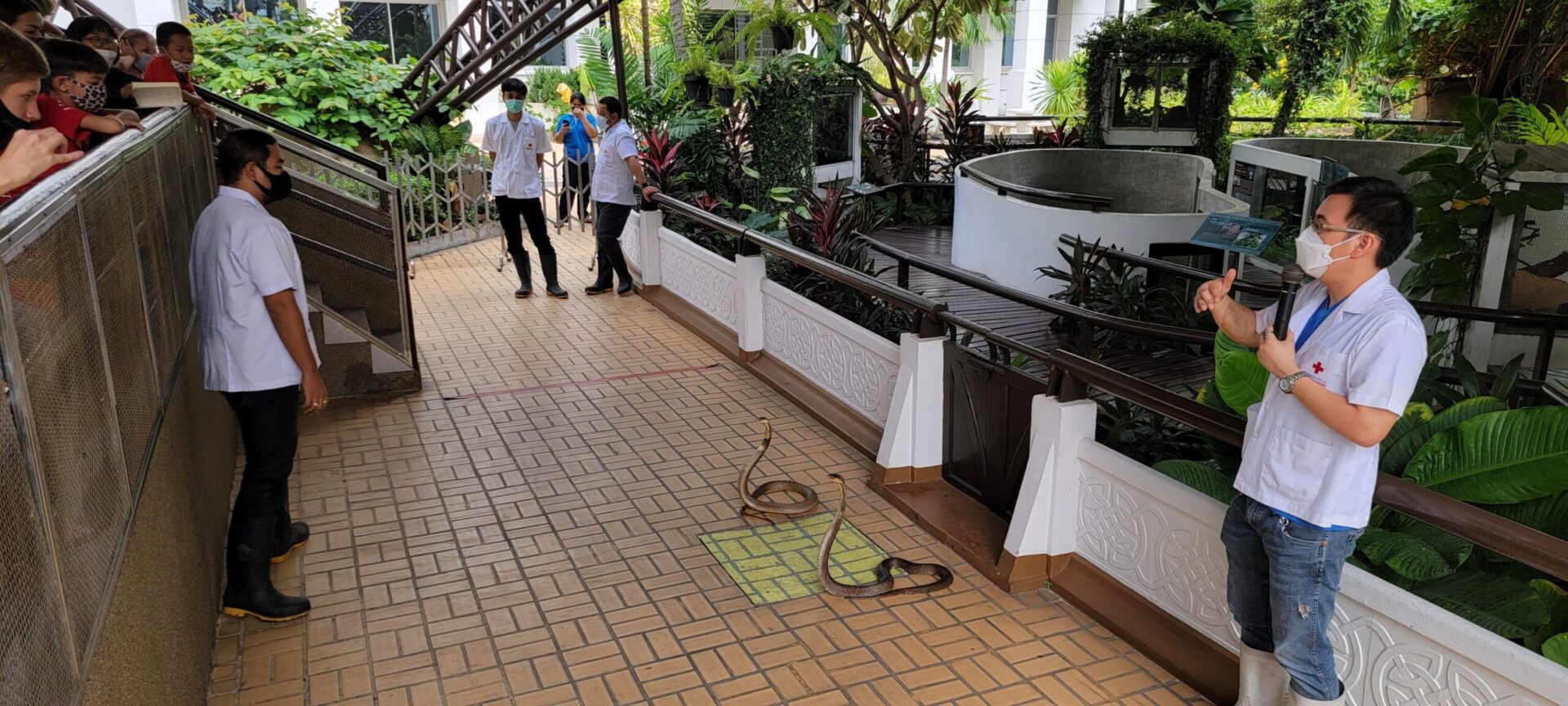 Snake Farm (Queen Saovabha Memorial Institute) : Bangkok Thailand ...