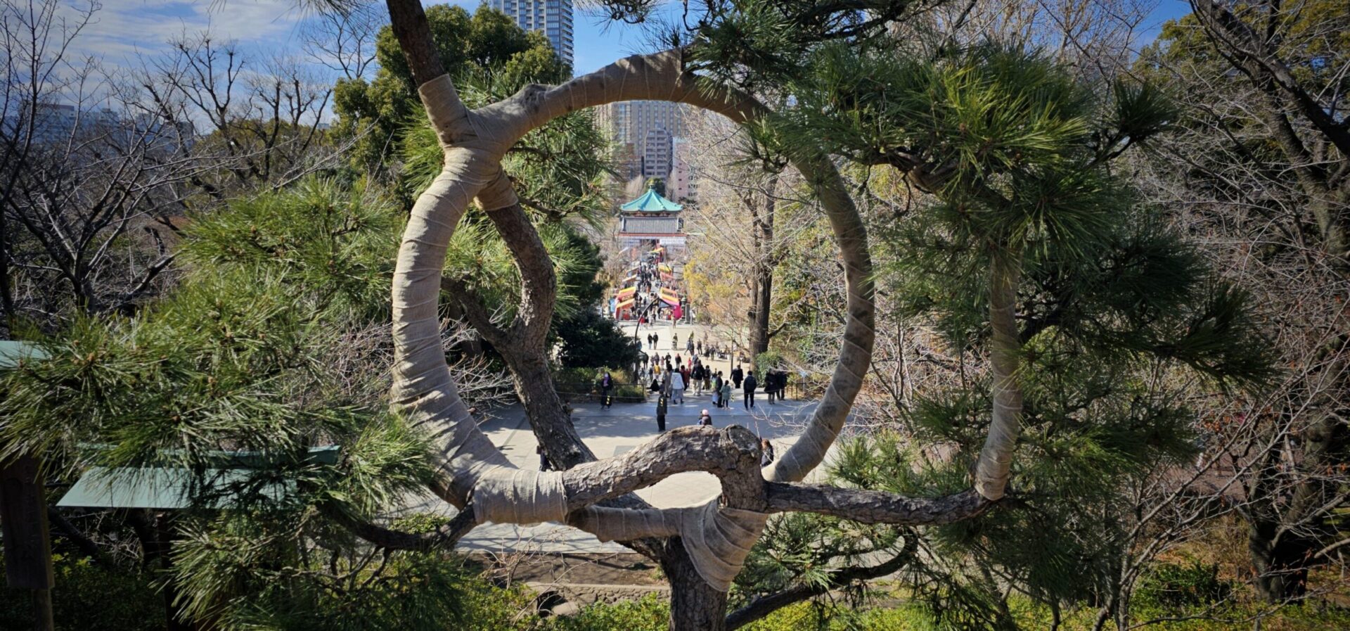 Visions of Tokyo 2024 : Japan | Visions of Travel