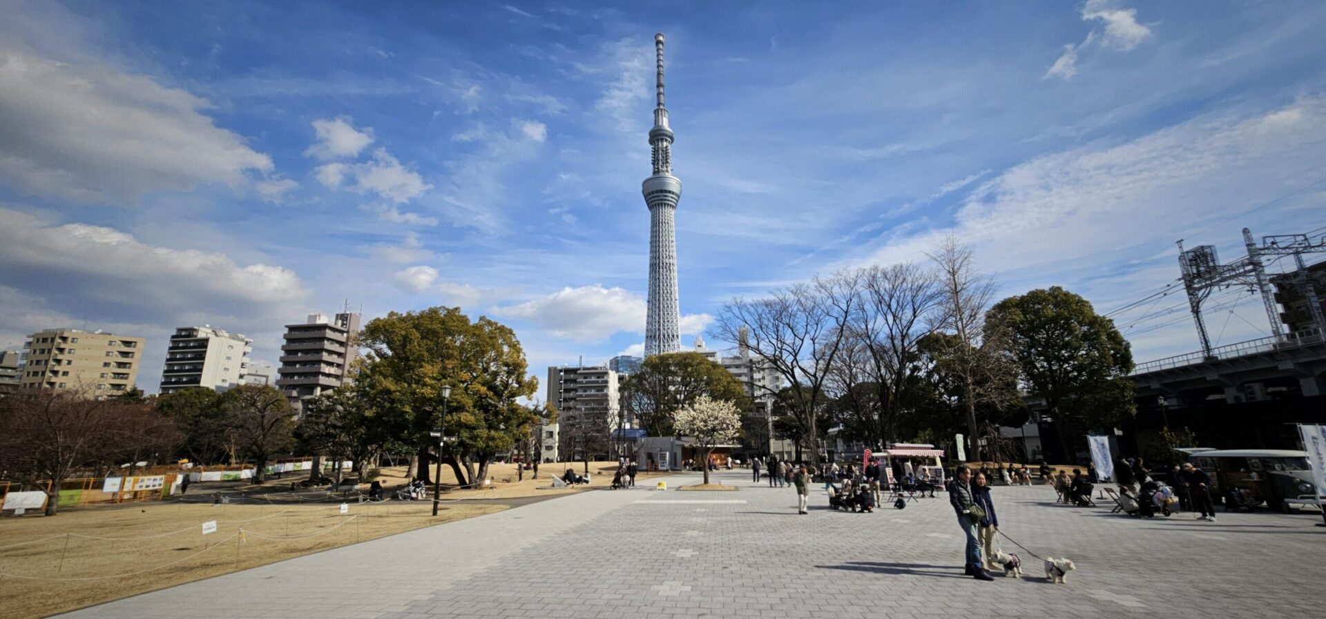 Visions of Tokyo 2024 : Japan | Visions of Travel